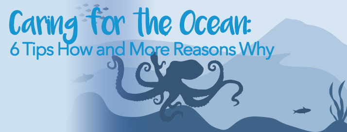 Caring for the Ocean | Nutty Scientists US